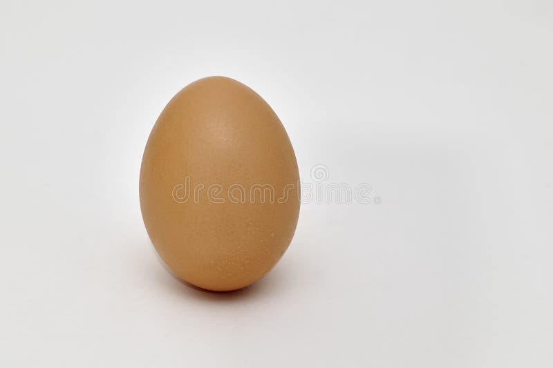 Single Chicken Egg on Background Stock Image - Image of protein, object ...
