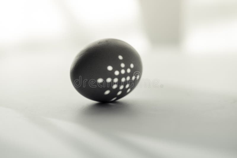 812 Egg Shadow Black White Photos - Free & Royalty-Free Stock Photos ...