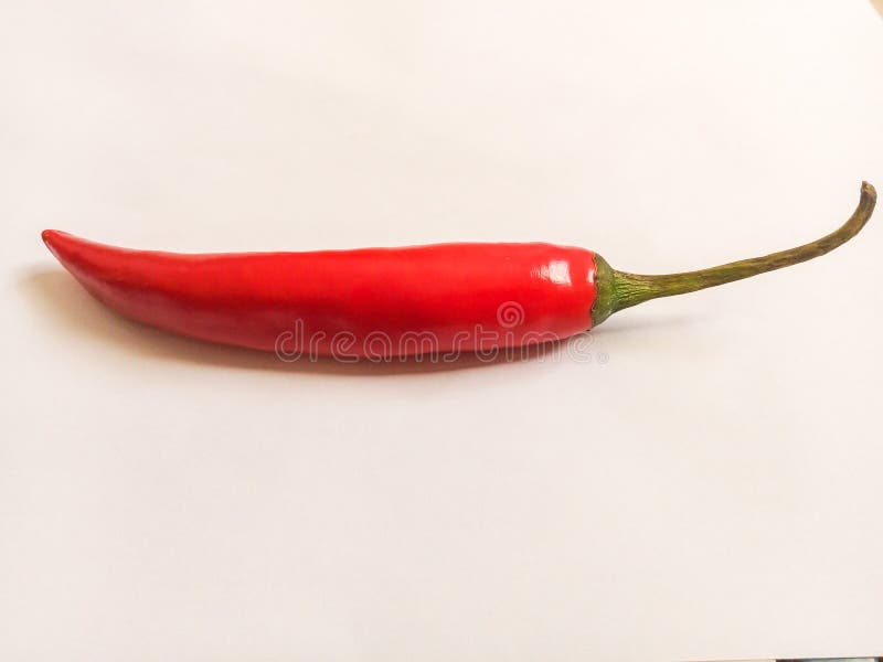 Single Chili Pepper Red Hot Raw Ripe Spice Vegetable Growing Plant ...