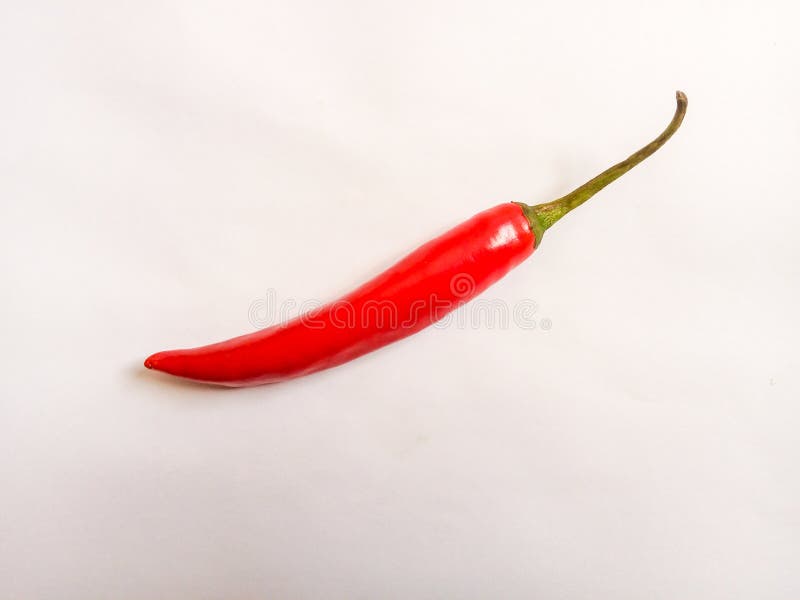 Single Chili Pepper Red Hot Raw Ripe Spice Vegetable Growing Plant ...