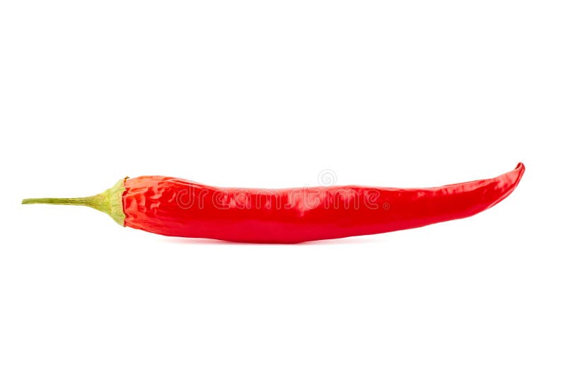 Single Red Chilli on a Bush in the Garden Stock Image - Image of ...