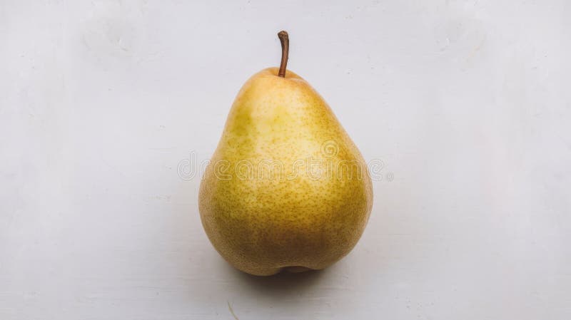 Single Chinese Pear with Smooth Skin on White Stock Illustration ...