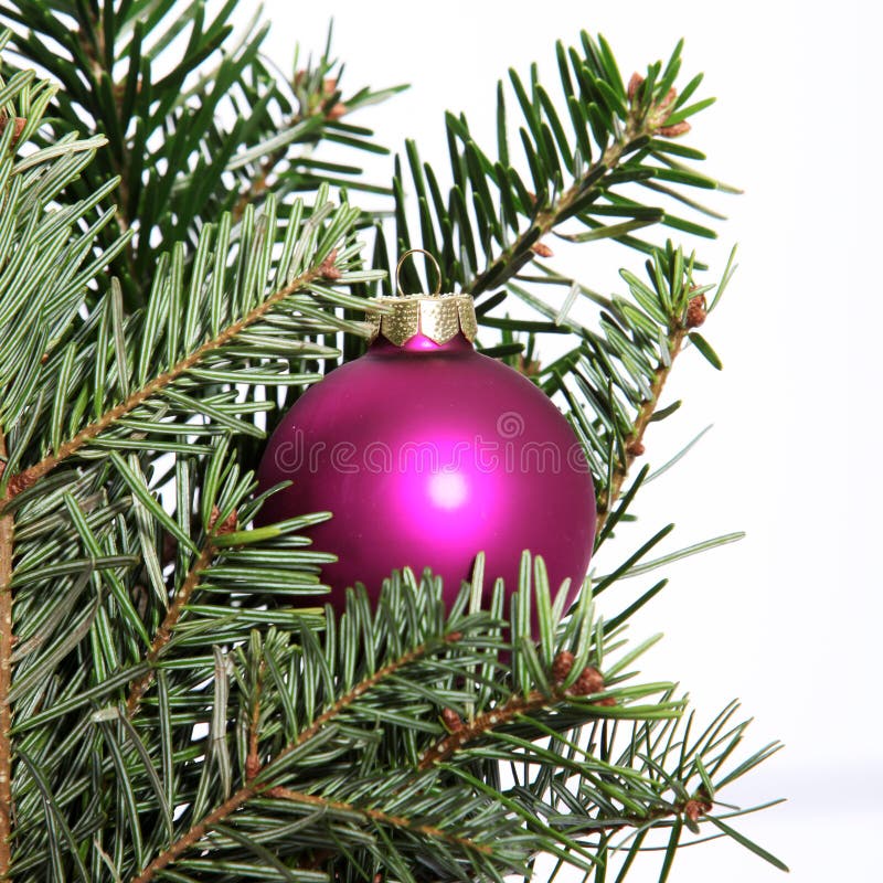 Single Christmas Bauble in a Tree Stock Photo - Image of tree, party ...