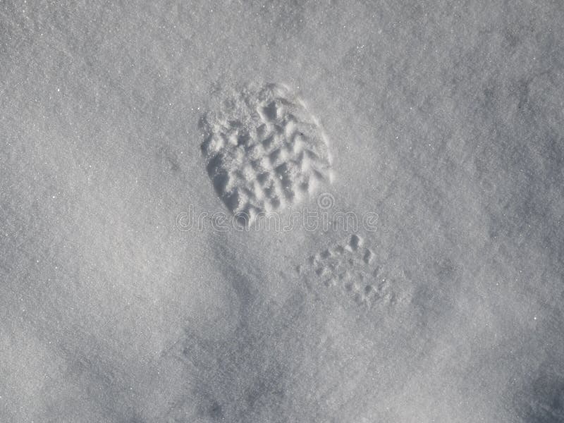 Single Clearly Defined Footprint of a Shoe or Boot in Snow with Copy ...