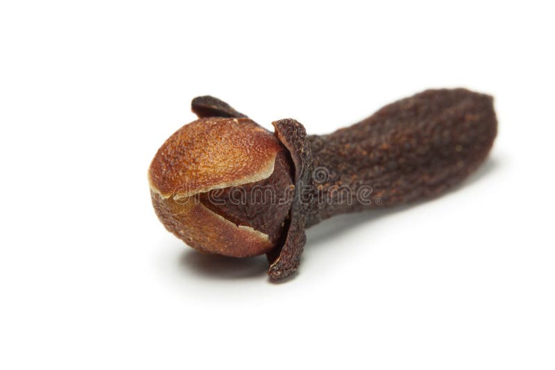 Single Clove Garlic Isolated on Black Glass Stock Image - Image of ...