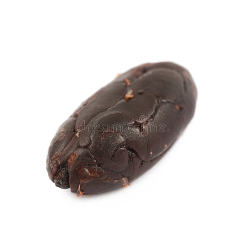 Single cocoa bean isolated stock image. Image of cacao - 108777661