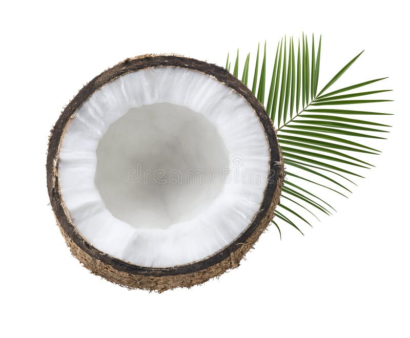 Coconut Half stock image. Image of white, hollow, healthy - 28121263