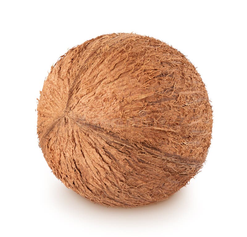 Single Coconut Isolated on a White Background. Stock Image - Image of ...