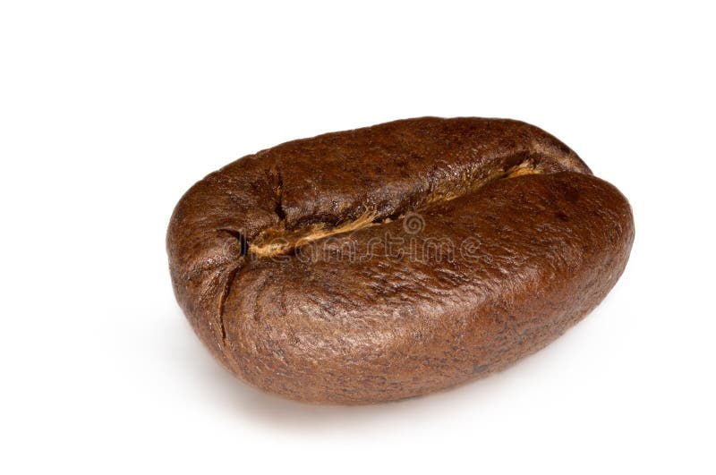 Single coffee bean stock photo. Image of pure, aroma, agriculture - 5262944
