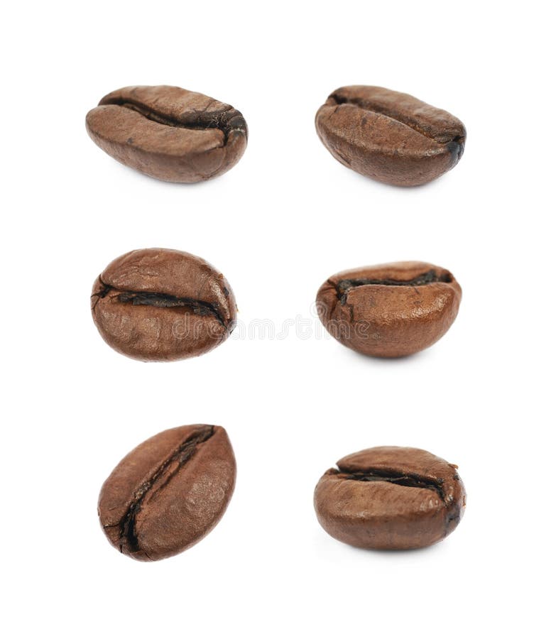 Single coffee bean stock photo. Image of agriculture, taste - 5262956