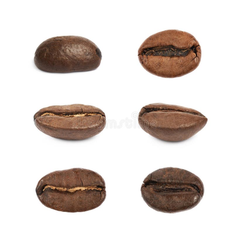 Single Coffee Bean Isolated Stock Photo - Image of food, drink: 93436796