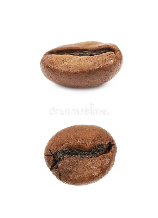 Single Coffee Bean Isolated Stock Photo - Image of cafe, espresso: 92565692