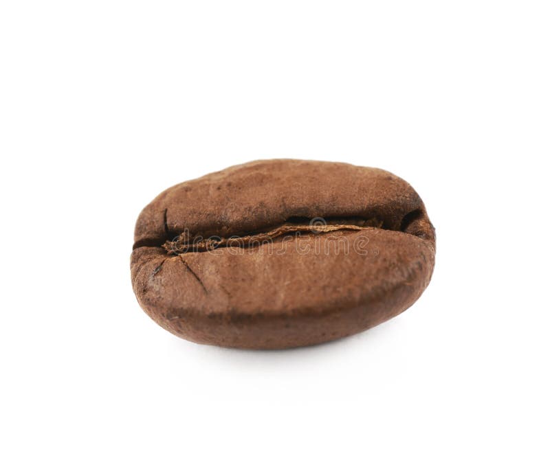 Single Coffee Bean Isolated Stock Photo - Image of cafe, espresso: 92565692