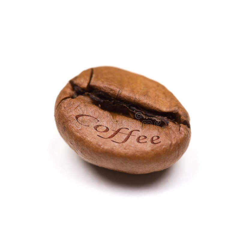 Single Coffee Bean Isolated on White Background Stock Image - Image of ...