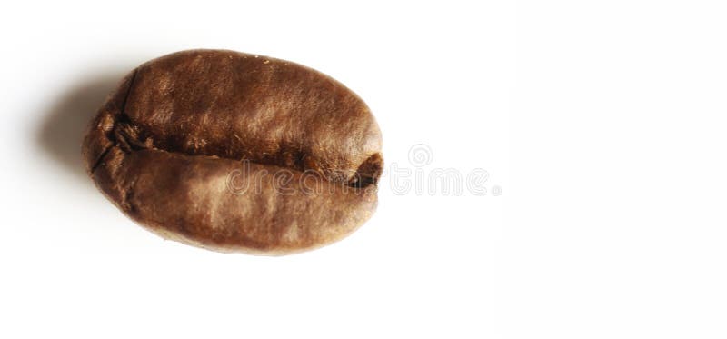 Single coffee bean stock photo. Image of agriculture, taste - 5262956