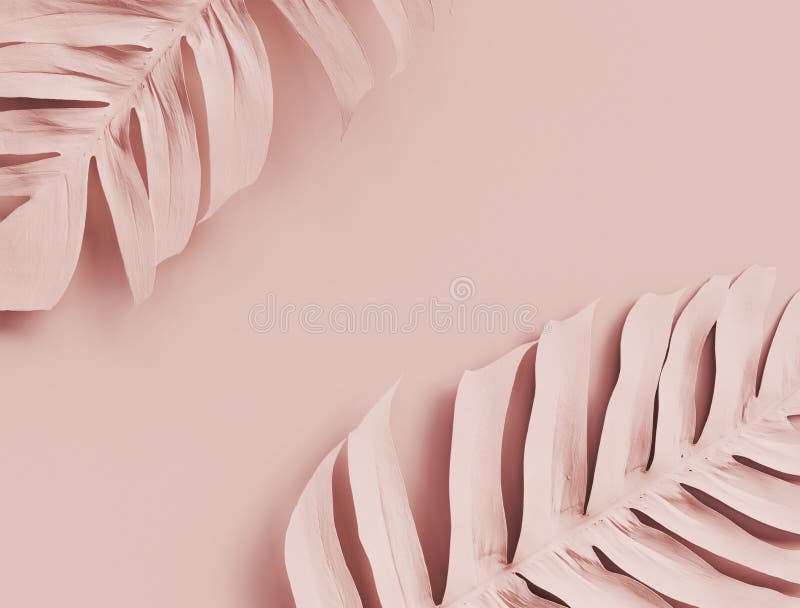 Single Color Palm Leaf on a Solid Light Cyan Background. Mockup Stock ...
