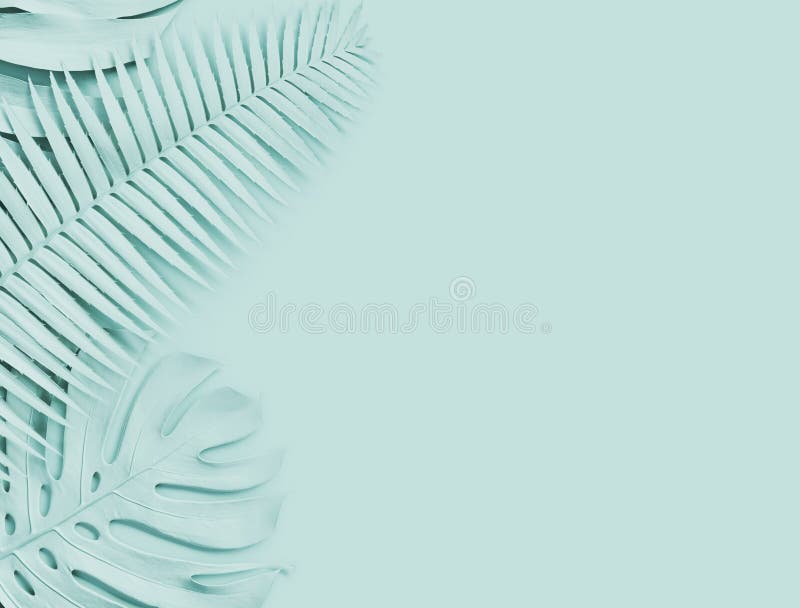 Single Color Palm Leaf on a Solid Light Cyan Background. Mockup Stock ...