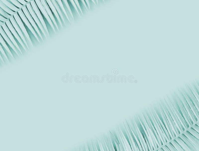 Single Color Palm Leaf on a Solid Light Cyan Background. Mockup Stock ...