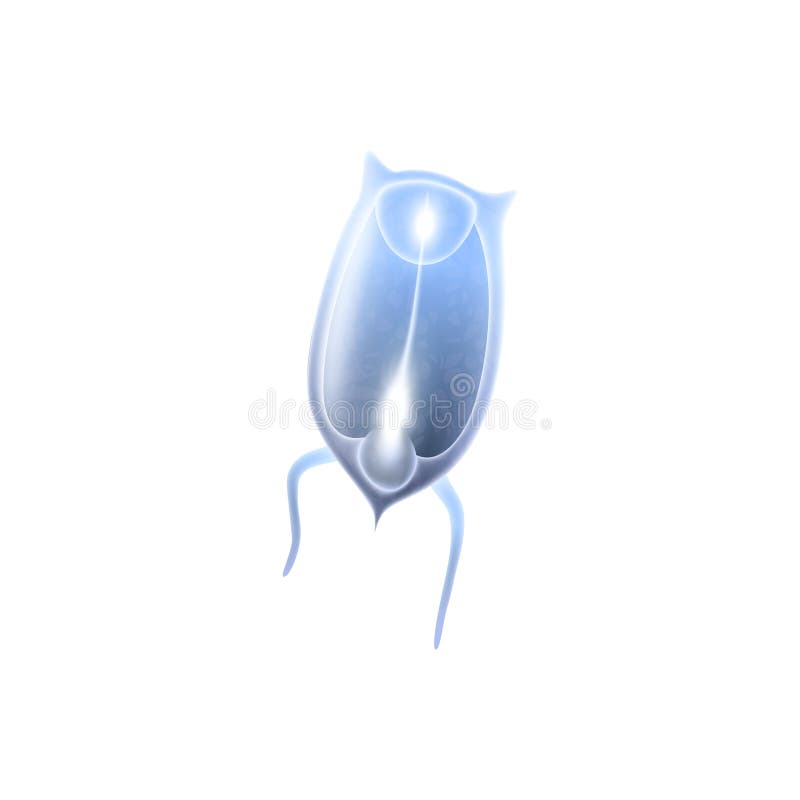 Copepod Icon Stock Illustrations – 129 Copepod Icon Stock Illustrations ...
