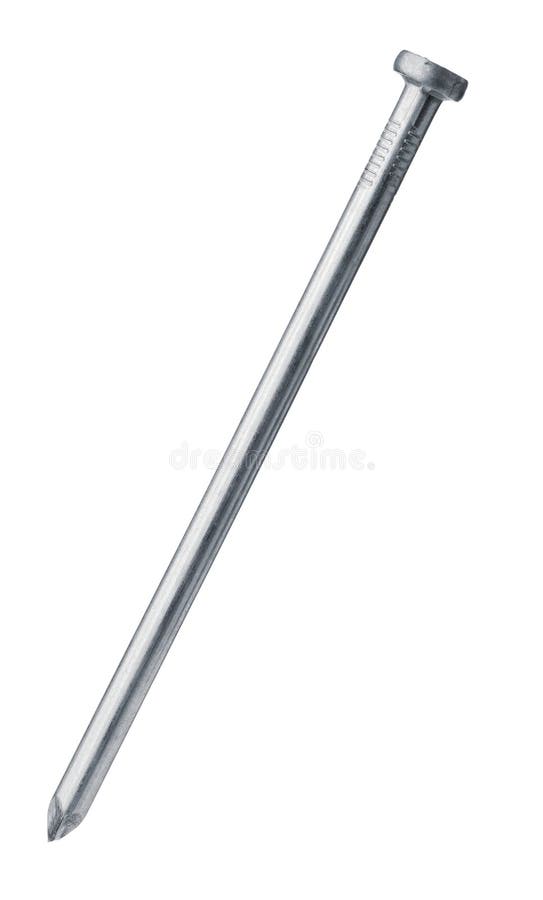 Single common steel nail stock image. Image of stainless - 306298755