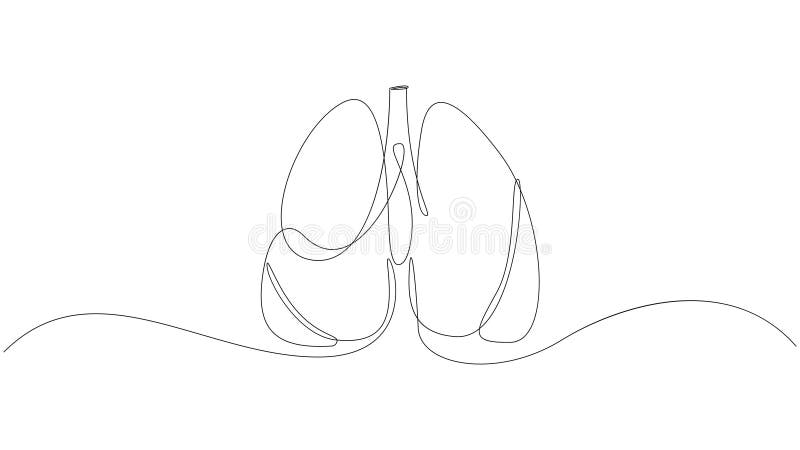 Single Continuous Line Drawing of Human Lungs. One Line Human ...