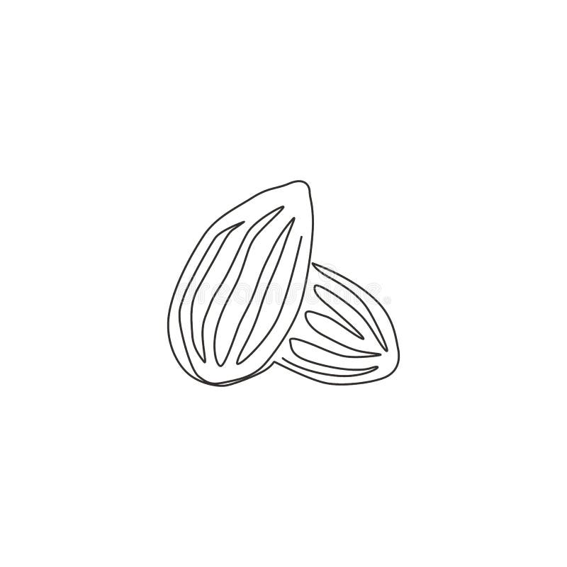 Single Continuous Line Drawing Of Whole Healthy Organic Almonds Group