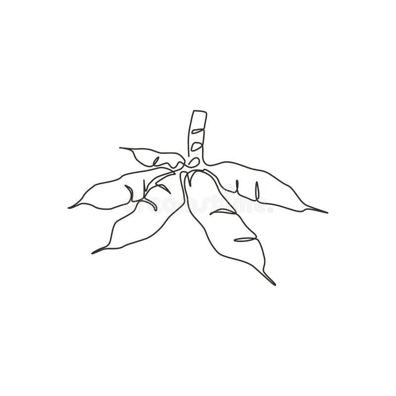 Cassava Logo Isolated Cassava On White Background Stock Vector