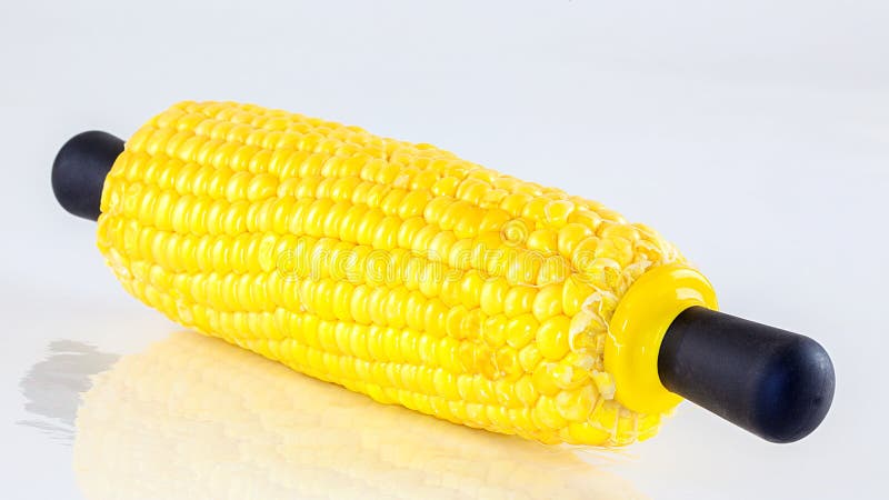 A Single Corn on the Cob on a White Background. Stock Photo - Image of ...