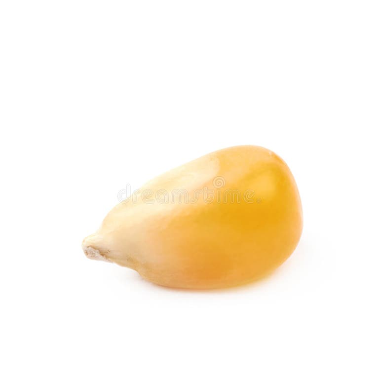 48,900 Corn Kernel Stock Photos - Free & Royalty-Free Stock Photos from ...