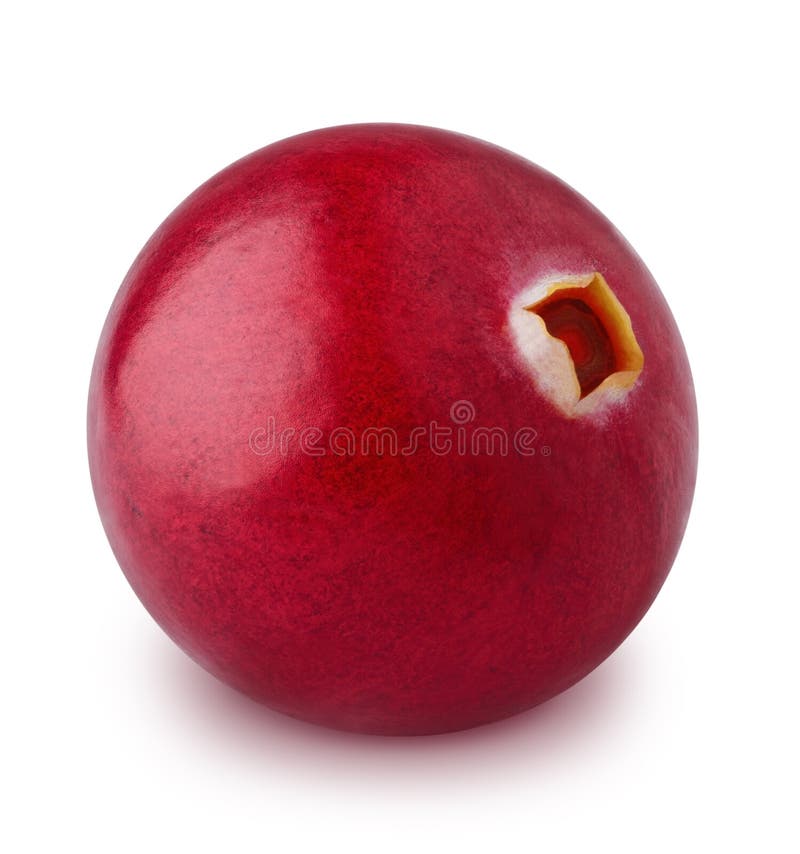 Single Cranberry Clipart