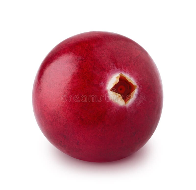 Single Cranberry Isolated on a White Background. Stock Photo - Image of ...