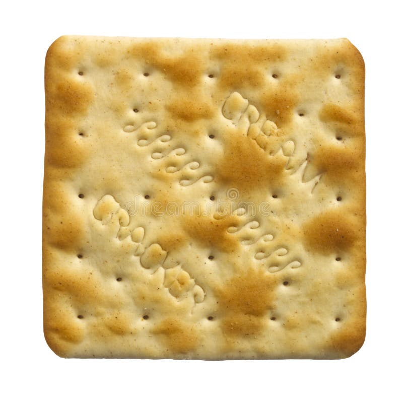 Single Cream Cracker Biscuit on White Background Stock Image - Image of ...