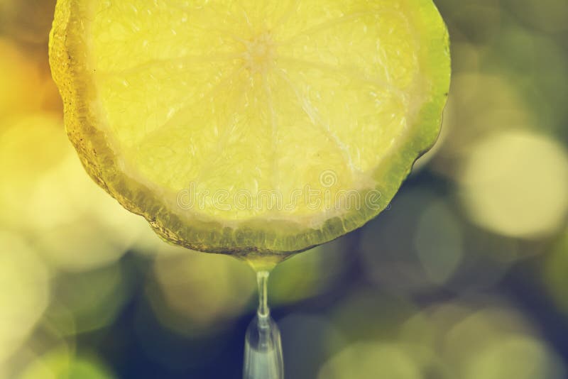 Single Cross Section of Lime with Water Drop. Lime is a Hybrid C Stock ...