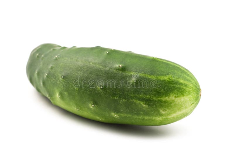 Single cucumber stock image. Image of fresh, white, vegetable - 10800851