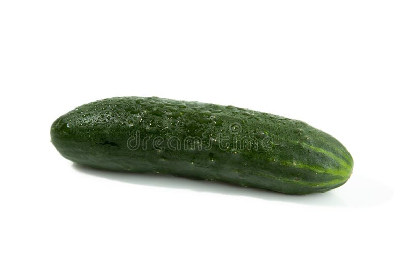 Single Cucumber stock photo. Image of summer, conversion - 19262454