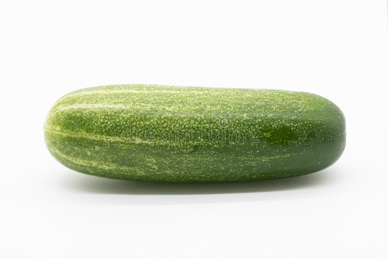 Single Cucumber Close Up Isolated on White Background Stock Image ...