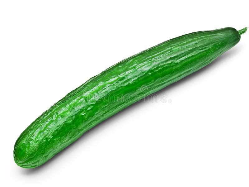 Single Cucumber Isolated on White Background Stock Photo - Image of ...