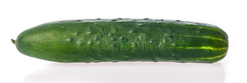 Single Cucumber Isolated on a White Background Stock Image - Image of ...