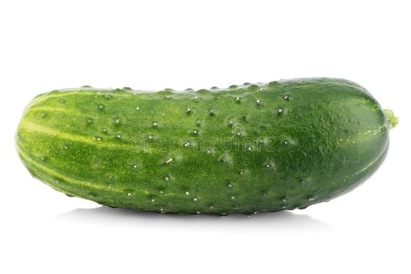 260+ Single cucumber Free Stock Photos - StockFreeImages