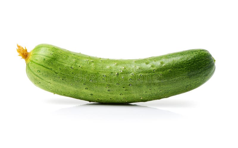 Single cucumber stock image. Image of fresh, white, vegetable - 10800851
