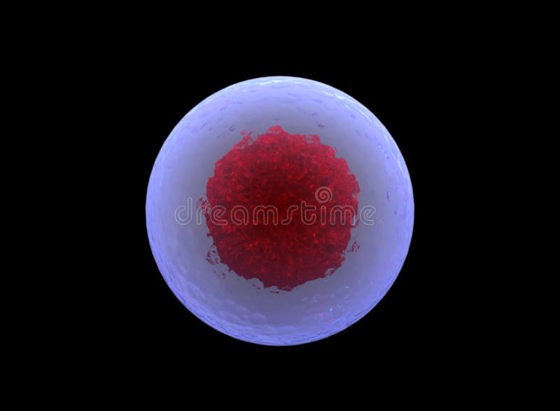 Cocci Shape of Bacteria. Its Called Tetrad. Stock Illustration ...