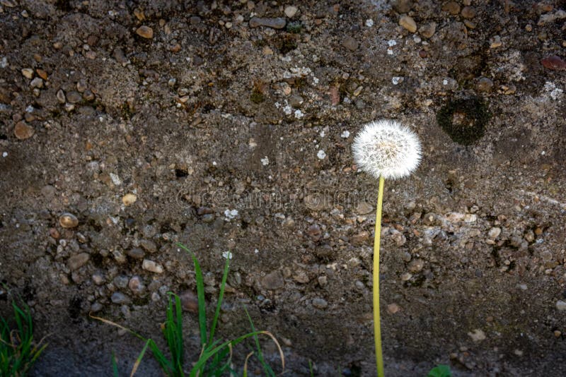 285 Soil Clock Stock Photos - Free & Royalty-Free Stock Photos from ...