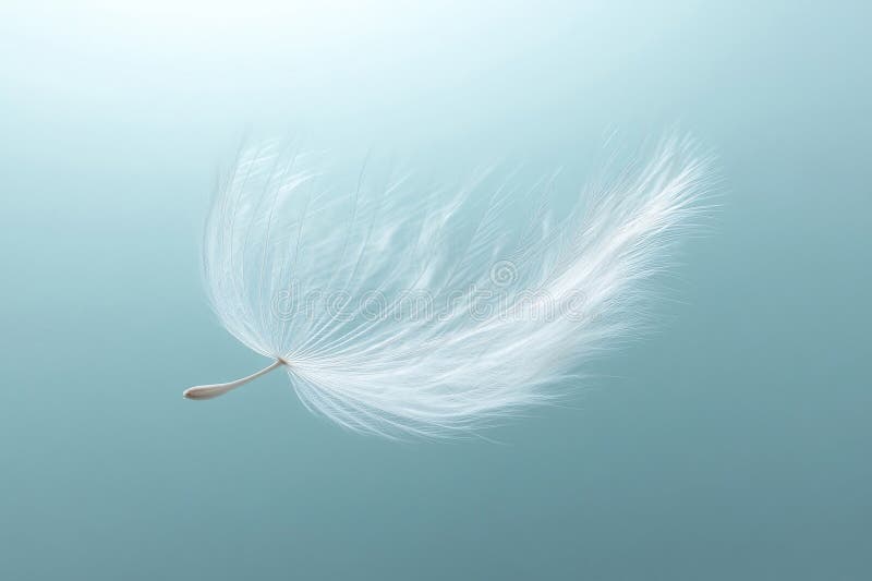 A Single Dandelion Seed Floating Against a Soft Blue Background Stock ...