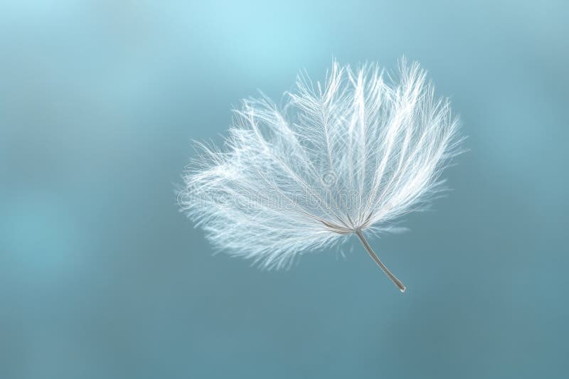 A Single Dandelion Seed Floating Against a Soft Blue Background Stock ...