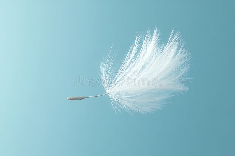 A Single Dandelion Seed Floating Against a Soft Blue Background Stock ...