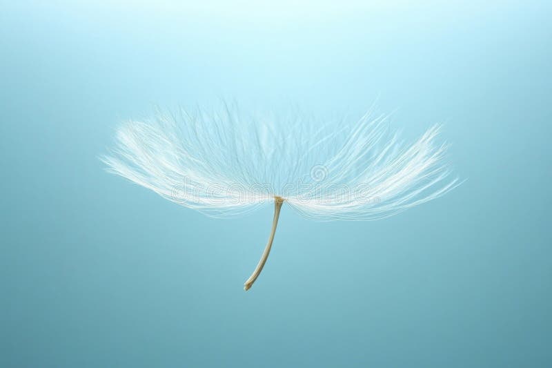 A Single Dandelion Seed Floating Against a Soft Blue Background Stock ...