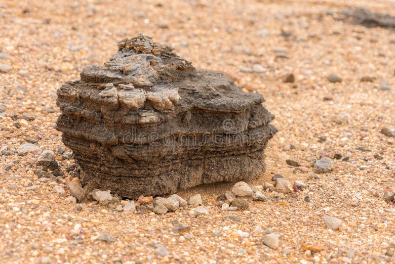 Single Dark Brown Lava Stone Stock Photo - Image of bright, land: 121105572