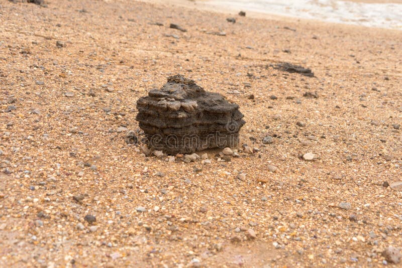 Single Dark Brown Lava Stone Stock Photo - Image of outdoor, ground ...