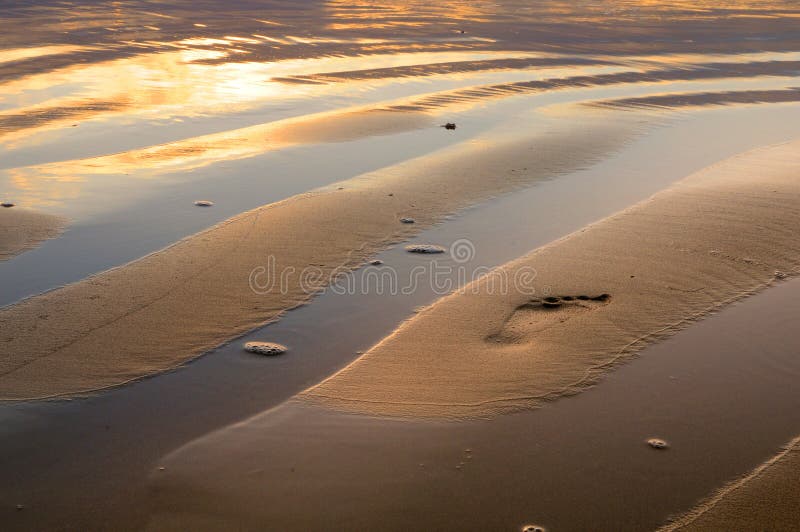 Footprint in the Sand Illuminated by the Off Camera Setting Sun Stock ...
