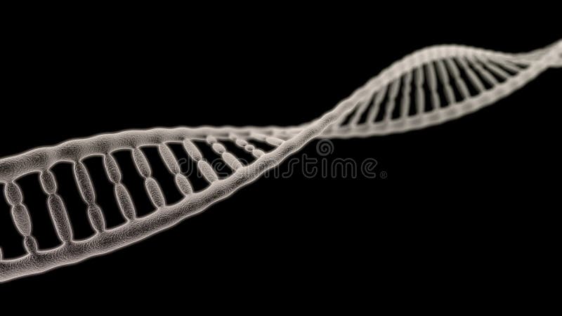 Single DNA Chain Rotation on the Black Background Stock Video - Video ...